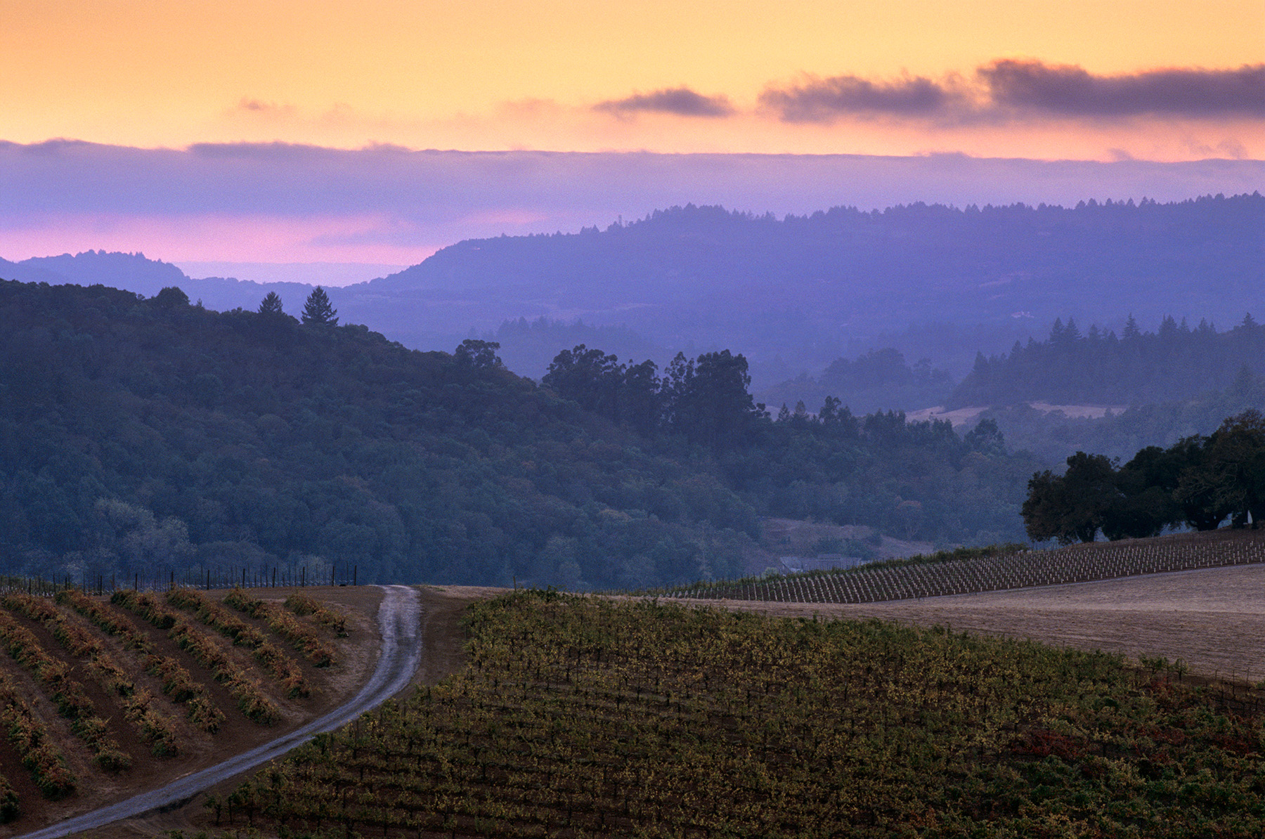 Valley Views of Kenwood | Sonoma Valley, CA | Ryan Daffurn Photography
