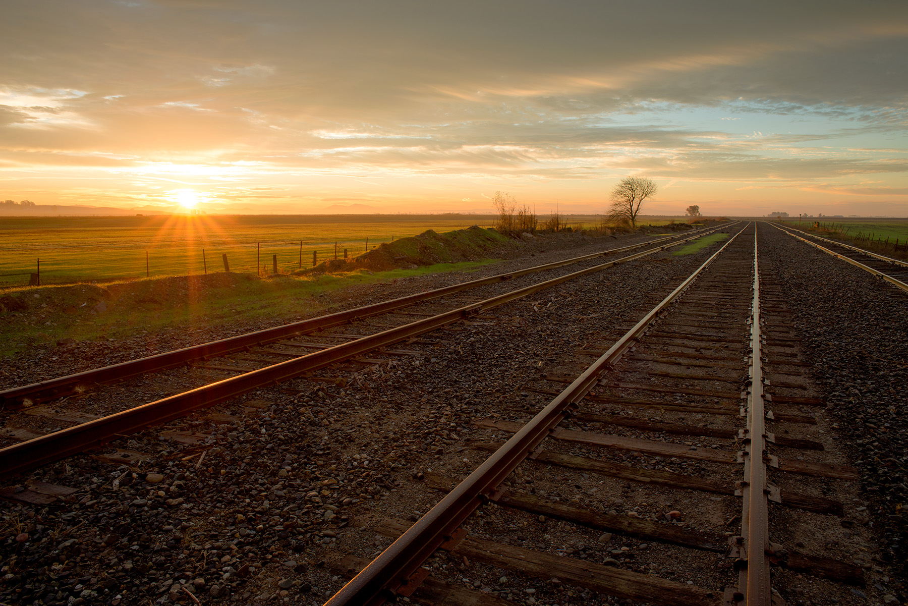Schellville Sunrise | Sonoma, CA | Ryan Daffurn Photography